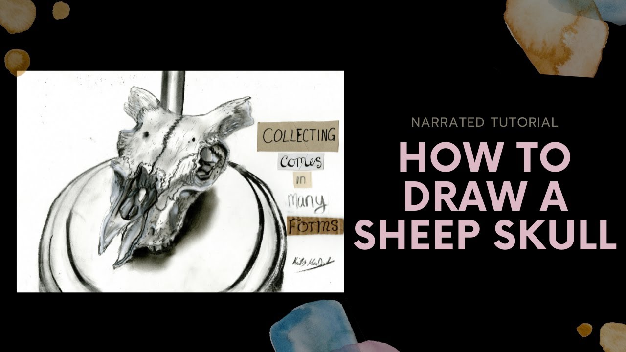 How to Draw - sheep skull - narrated - YouTube