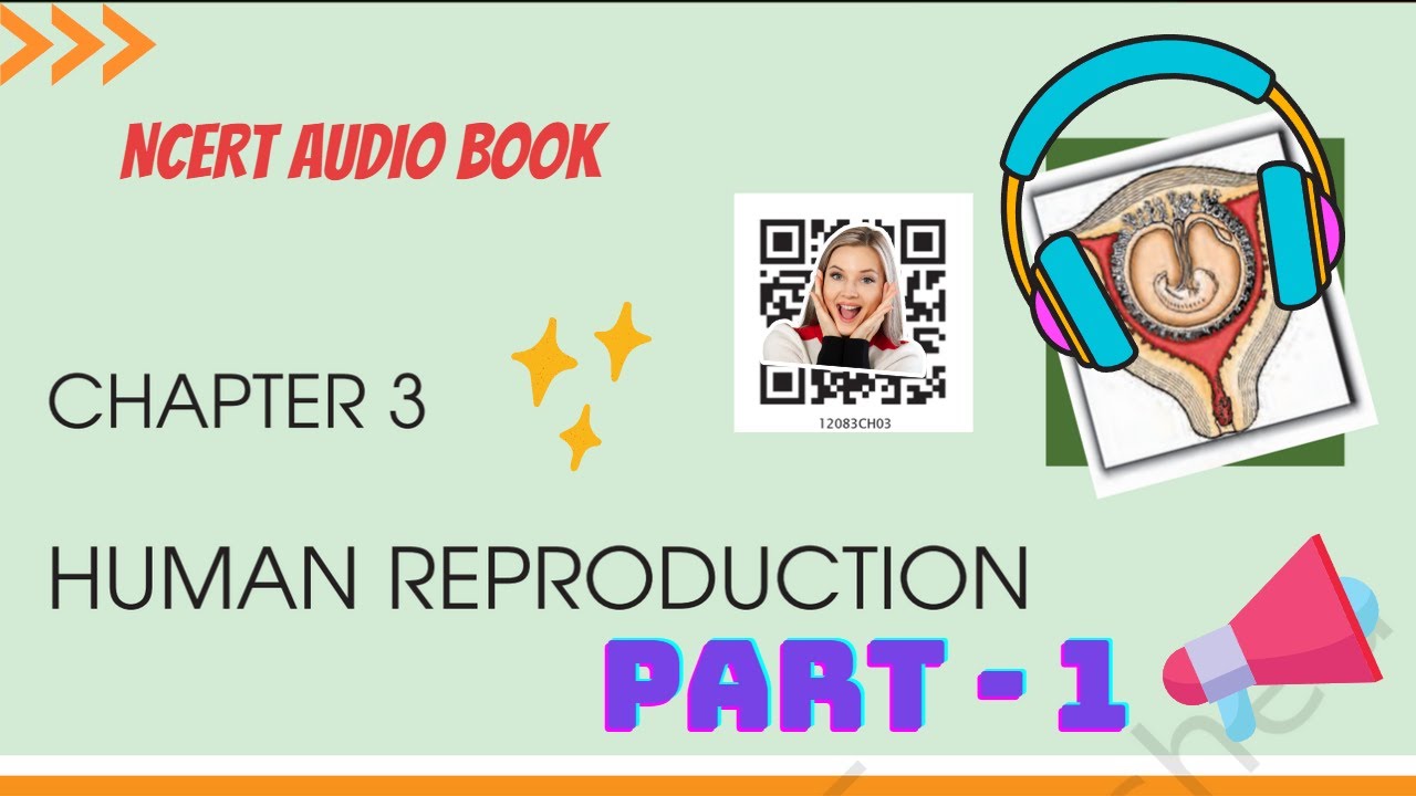 Class 12 Human Reproduction || Class 12 NCERT Human Reproduction ...