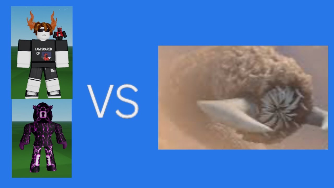 Me & Canada VS The Sand Worm boss in Sol’s RNG! - YouTube