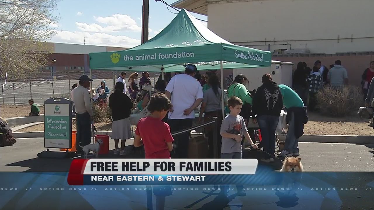Needy pets get help during Pets For Life event - YouTube