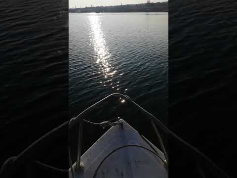 Mükemmmel Görüyorsunuz Konuşmuyorum