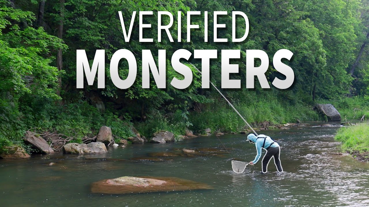 30 Inch Brown Trout Swim Here (Driftless Magic) - YouTube