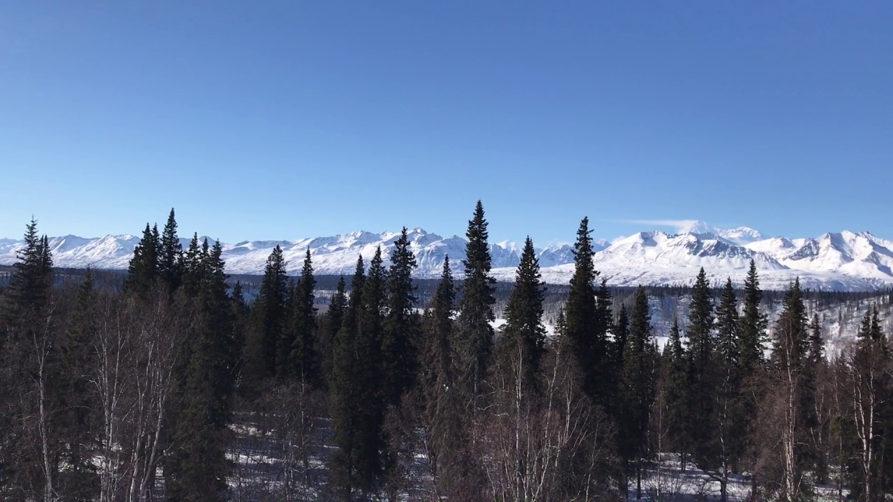 Denali Viewpoint North 19 Mar 17. - YouTube