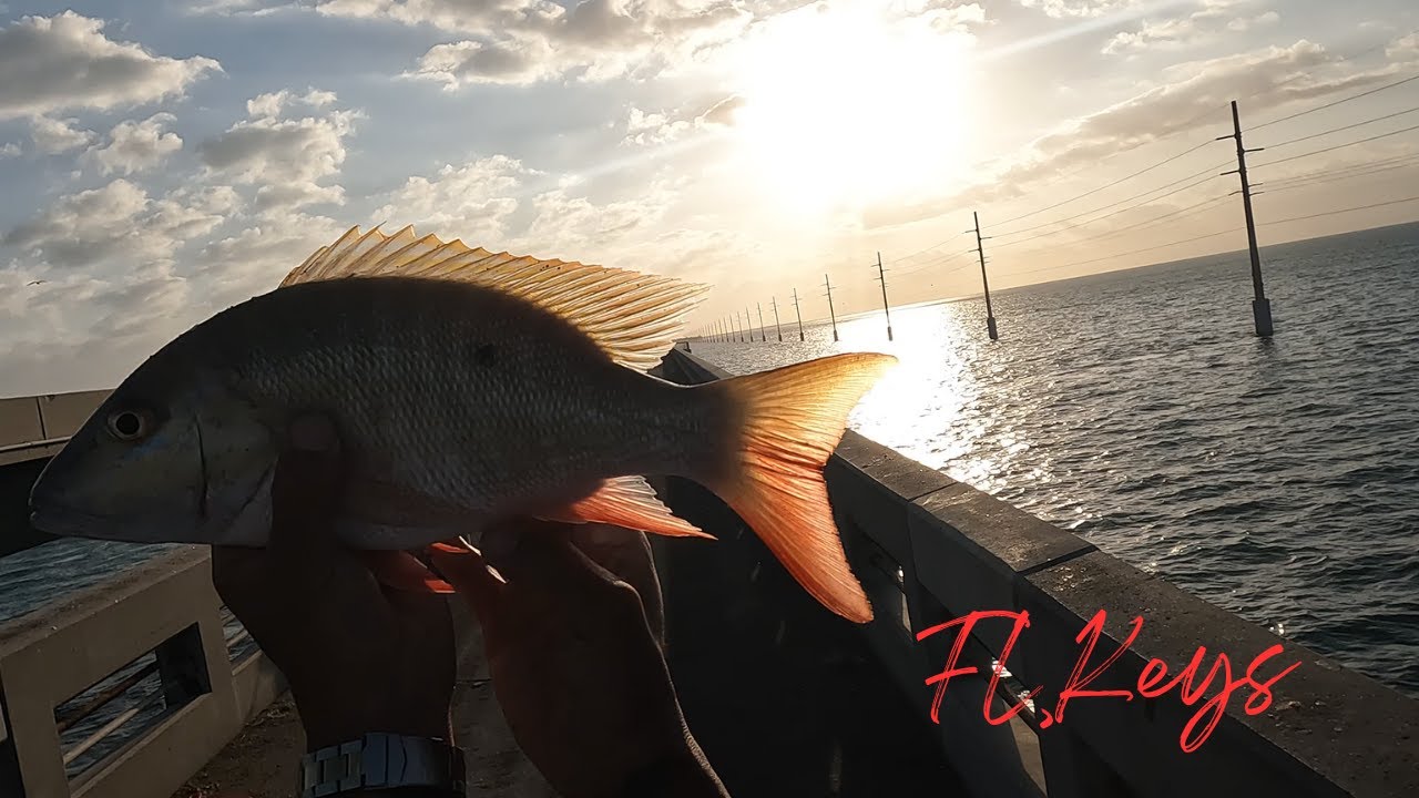 Florida Keys Bridge Fishing - YouTube