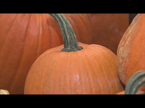 Dietitian explains how pumpkins can improve your health - YouTube