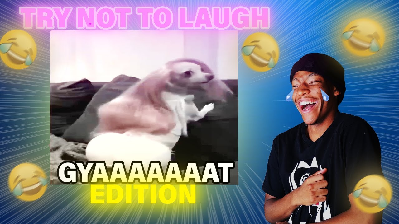 try not to laugh - YouTube