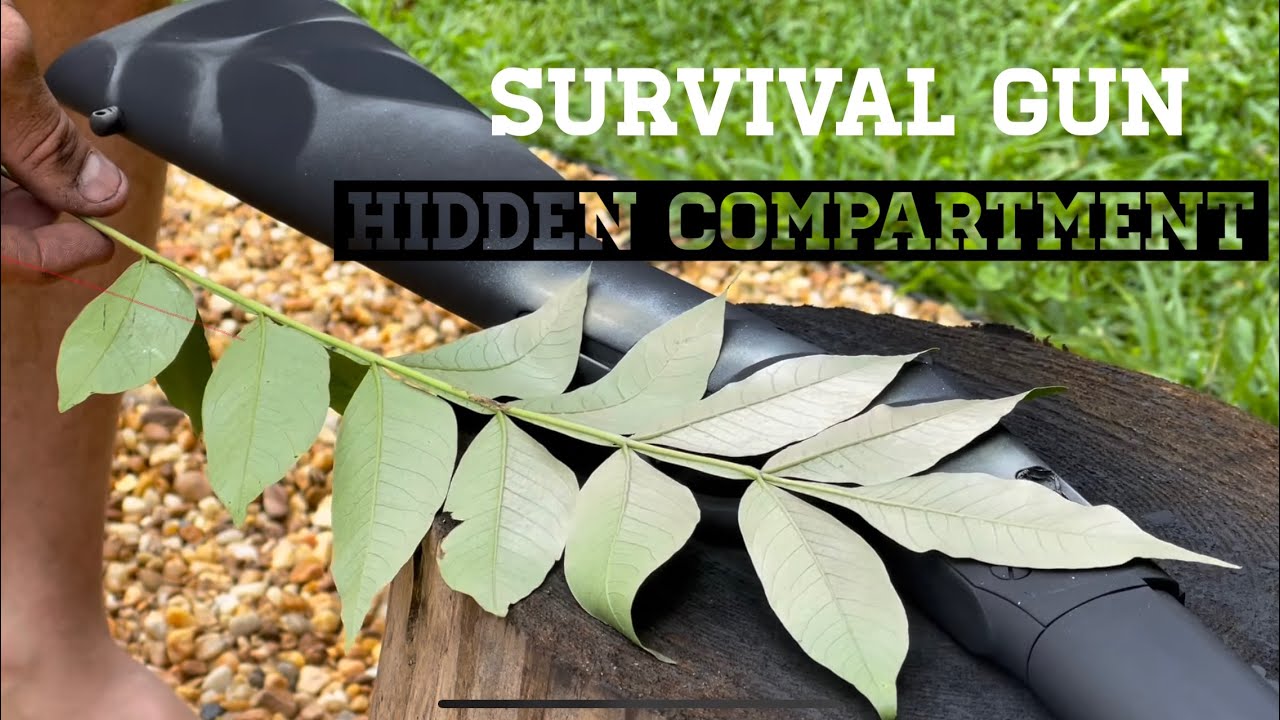 The Ultimate Budget Survival Rifle Build - YouTube