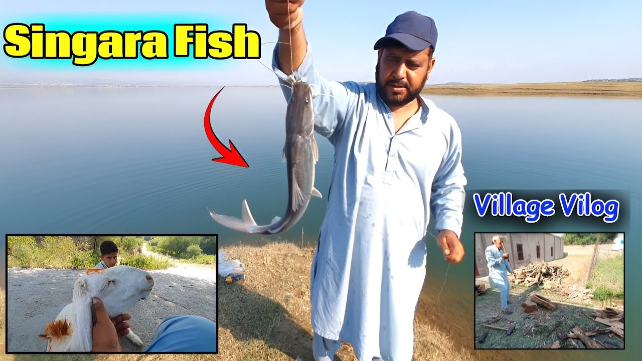 Fishing At Mangla Dam | Village Vilog | Hammad Official - YouTube