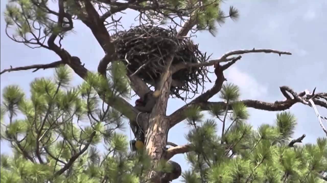 Kristi Houston Video Samples - YouTube