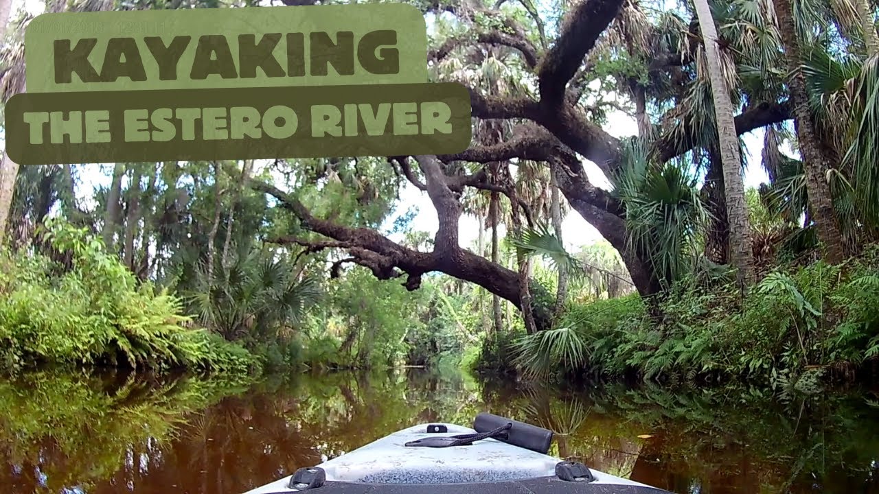 Kayaking the Estero River - east end. - YouTube