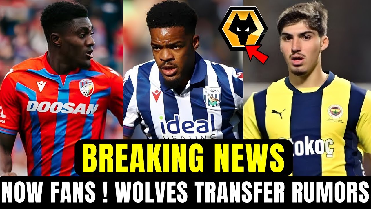 LOOK AT THIS WOLVES FANS ! LATEST TRANSFER NEWS #wolverhamptontransfers ...