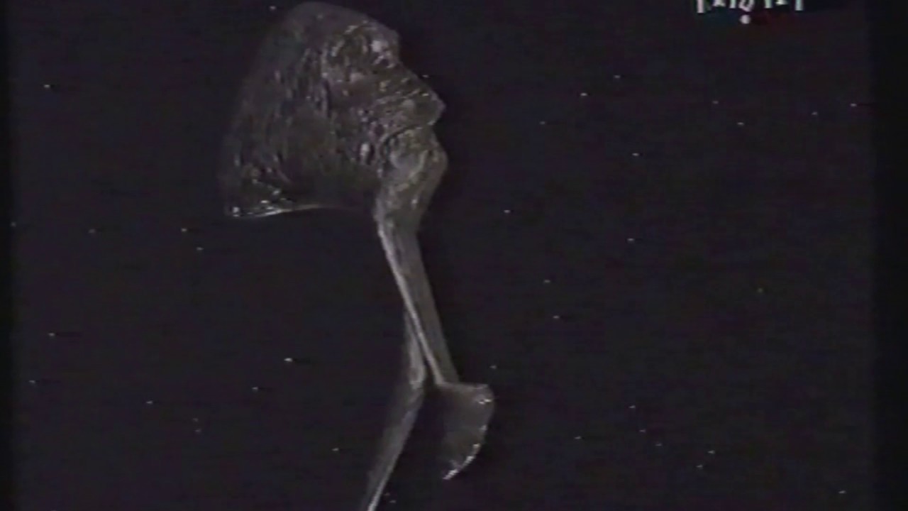 dj skull - stomping grounds ( mcm tv ) - YouTube