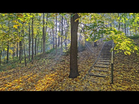 Colours of Fall in Šeškinė Esker | RAW video #4 | MotionCam | Mi 11 Ultra | Šeškinės Ozas 2022