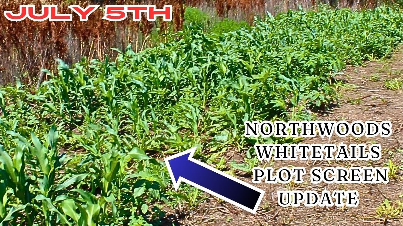 Heavy Duty Plot Screen Update - YouTube