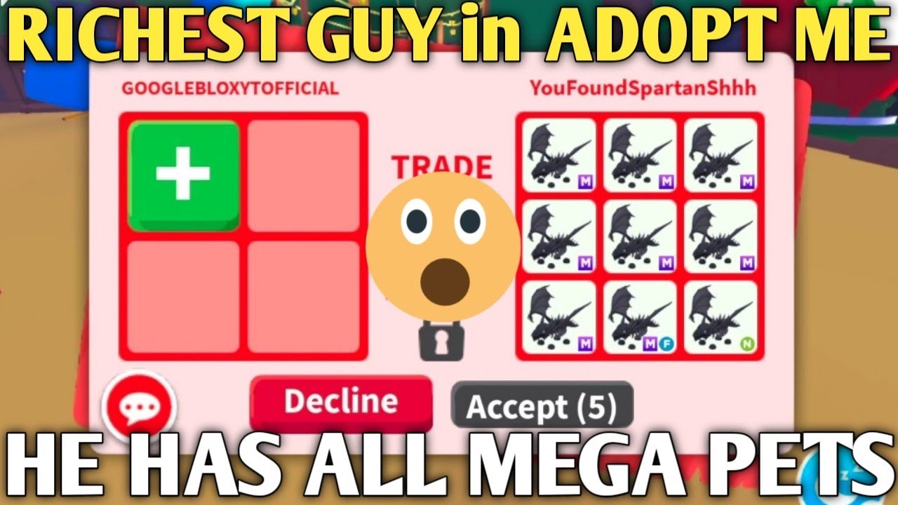 I MET the WORLD'S RICHEST ADOPT ME PLAYER 🤯😱🤠😭😍😛 | HE HAD EVERY MEGA ...