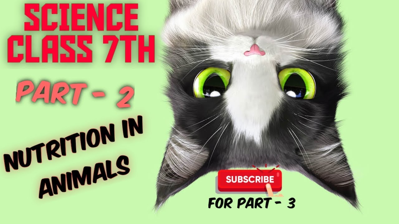 Science! Class 7th! Chapter 2 - YouTube