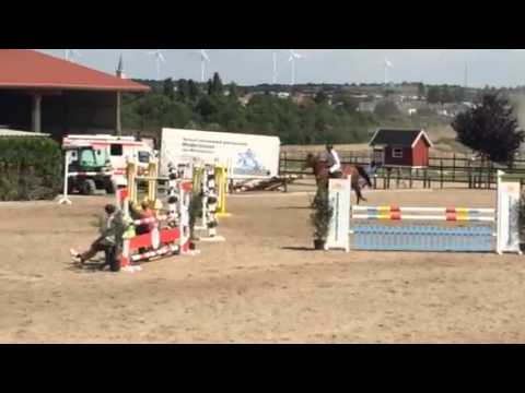 Sportpferde Johler Crawiander