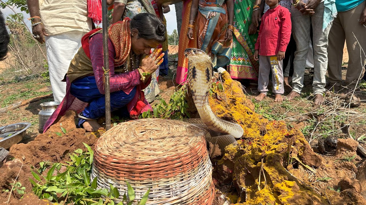 Yellamma Putta Bangaram | Rakesh Bonam Anna Snake Putta Puja 2023 ...