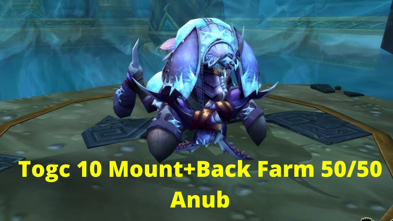 Warmane Mount Farm Togc 10 50/50 attem Abub - Wotlk - YouTube