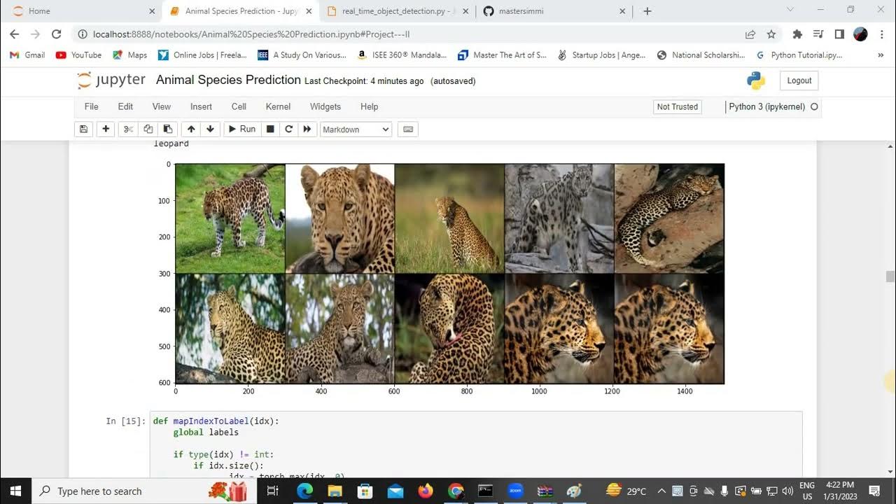 Animal Species Prediction - YouTube