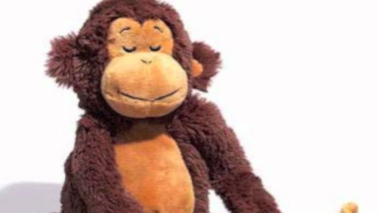 Carlo Lucca ft Shaina Jones - Take me with you (Umonkey remix) - YouTube