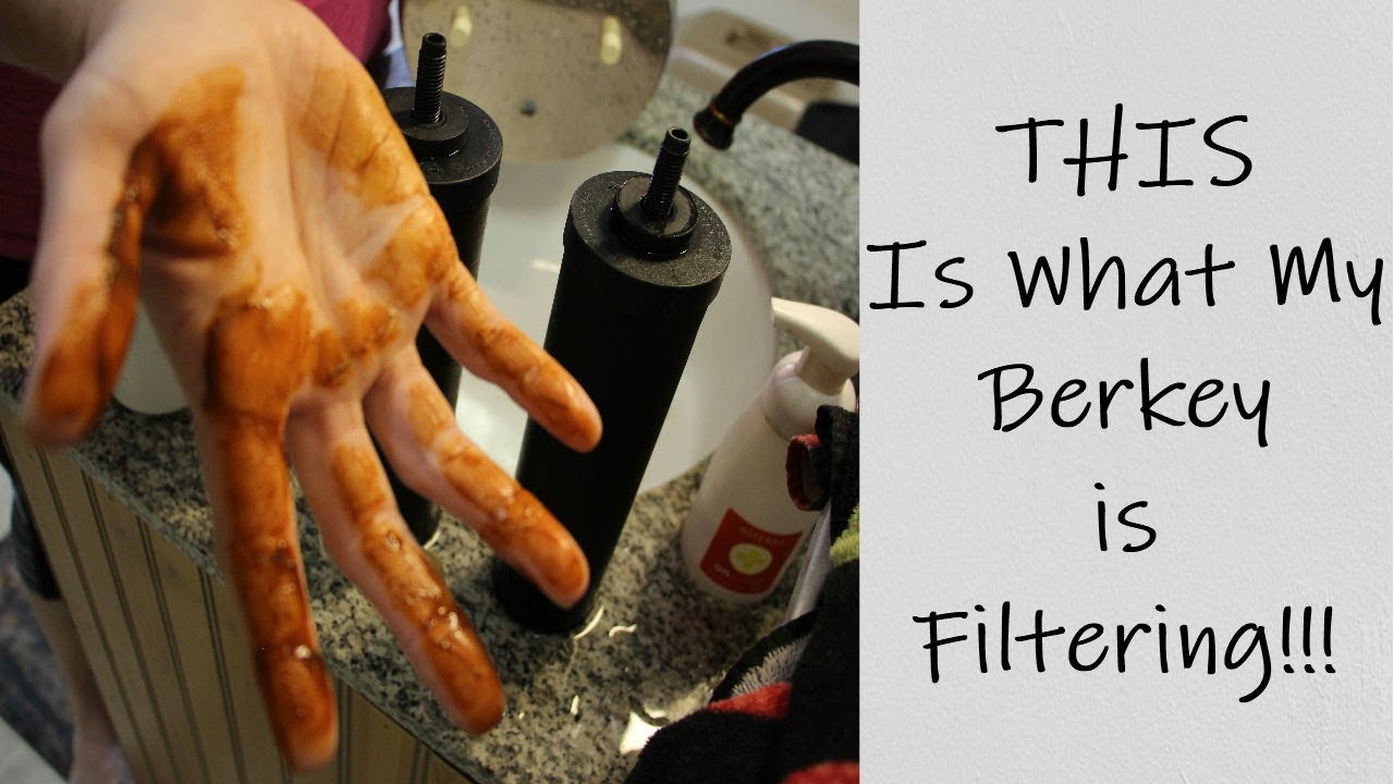 Look What Our Berkey Is Filtering! - YouTube
