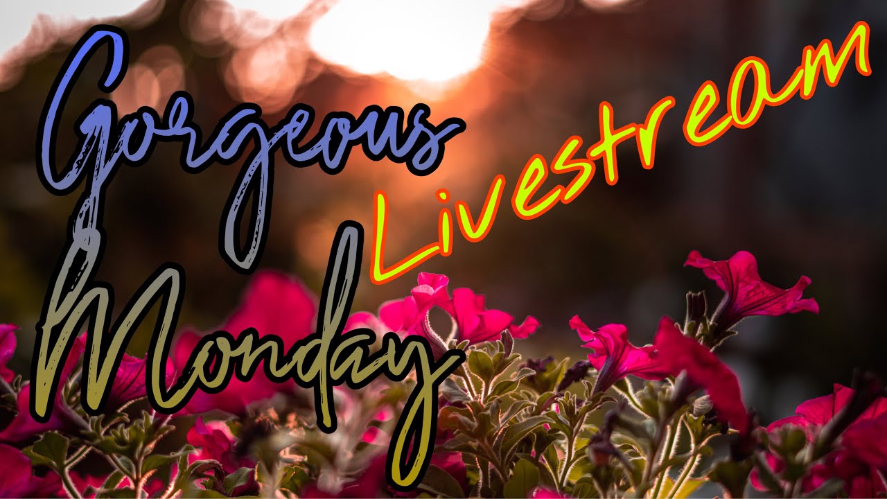 🔴 Gorgeous Monday LIVE | 🔴 #live #livestreaming - YouTube