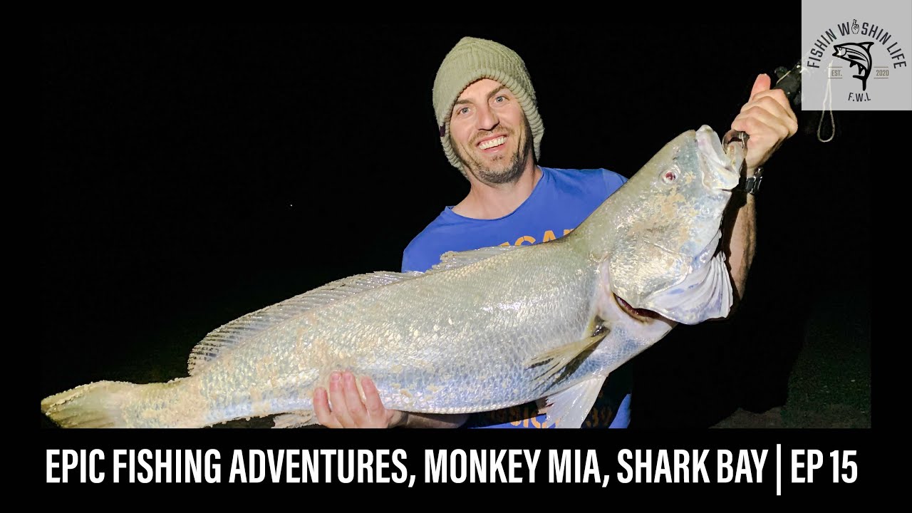 EP 15 EPIC MONKEY MIA FISHING Adventure with MONSTER MULLOWAY | Shark ...