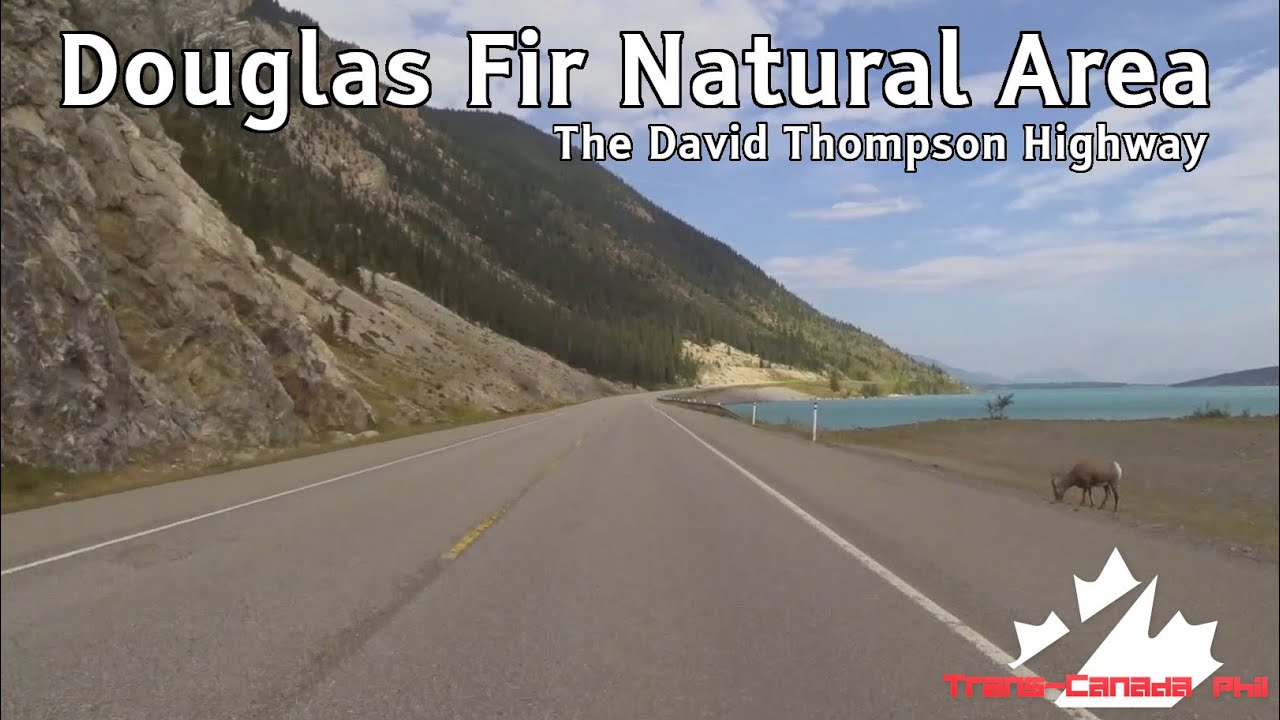 2023 Season - E03 - The Douglas Fir Natural Area - David Thompson ...