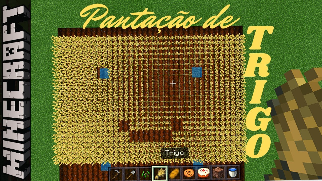 Minecraft plantação de trigo (Básico) - YouTube