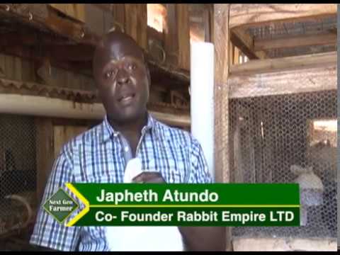 Rabbit Rearing In Kenya - YouTube