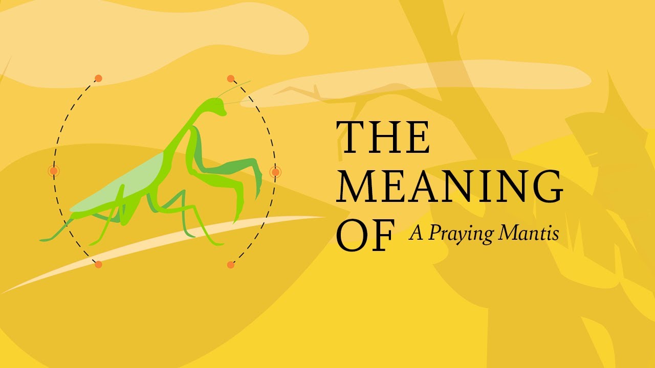 The Spiritual Meaning of a Praying Mantis Sighting - YouTube