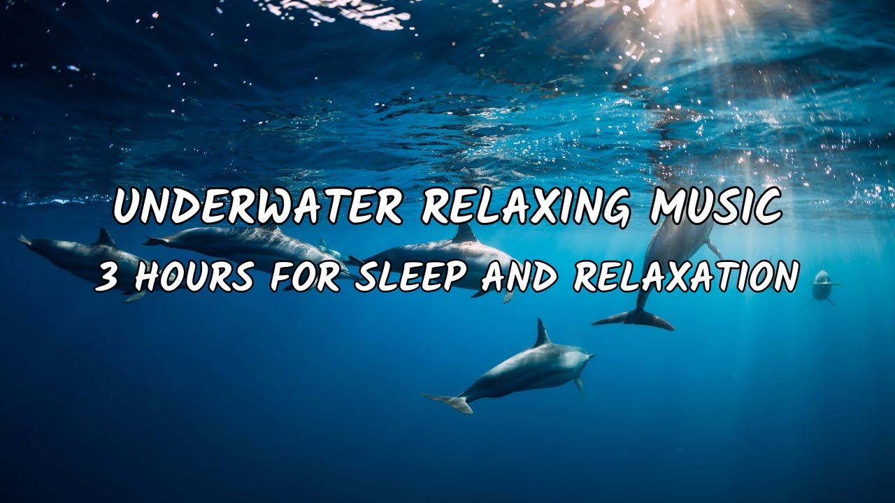 Underwater Relaxing Music | Underwater Ambient And Dolphin Sounds - YouTube