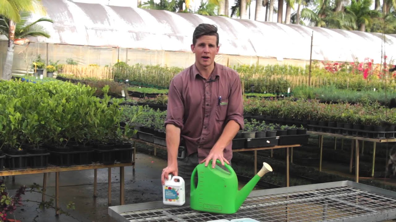 Sea Change Liquid fertiliser - YouTube