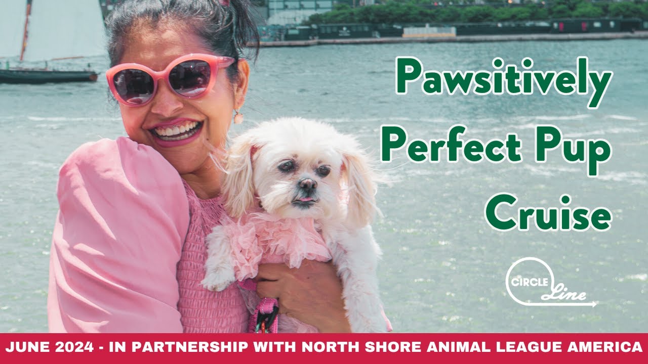 Circle Line's Pawsitively Perfect Pup Cruise! - YouTube