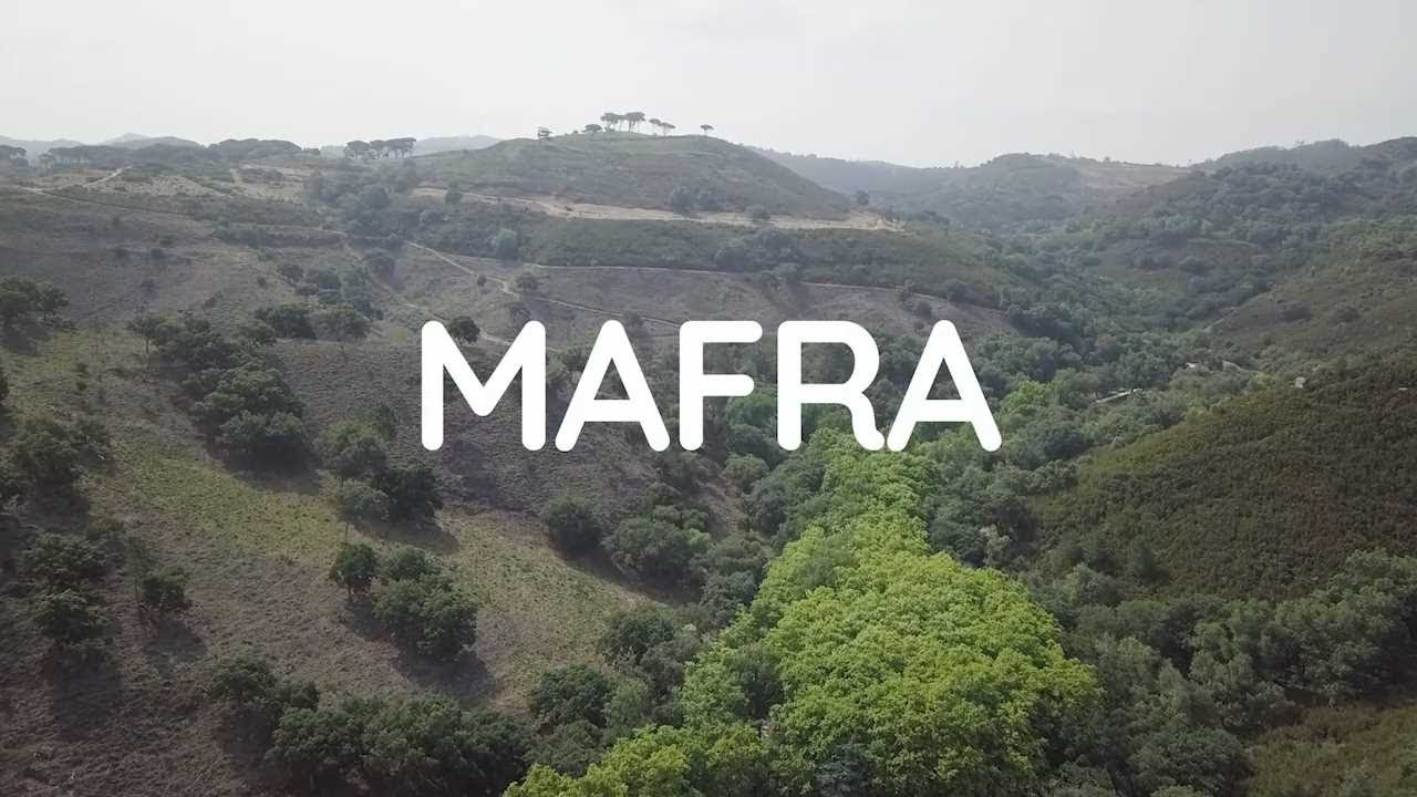 WYD: Cultural and Religious Heritage - Mafra - YouTube