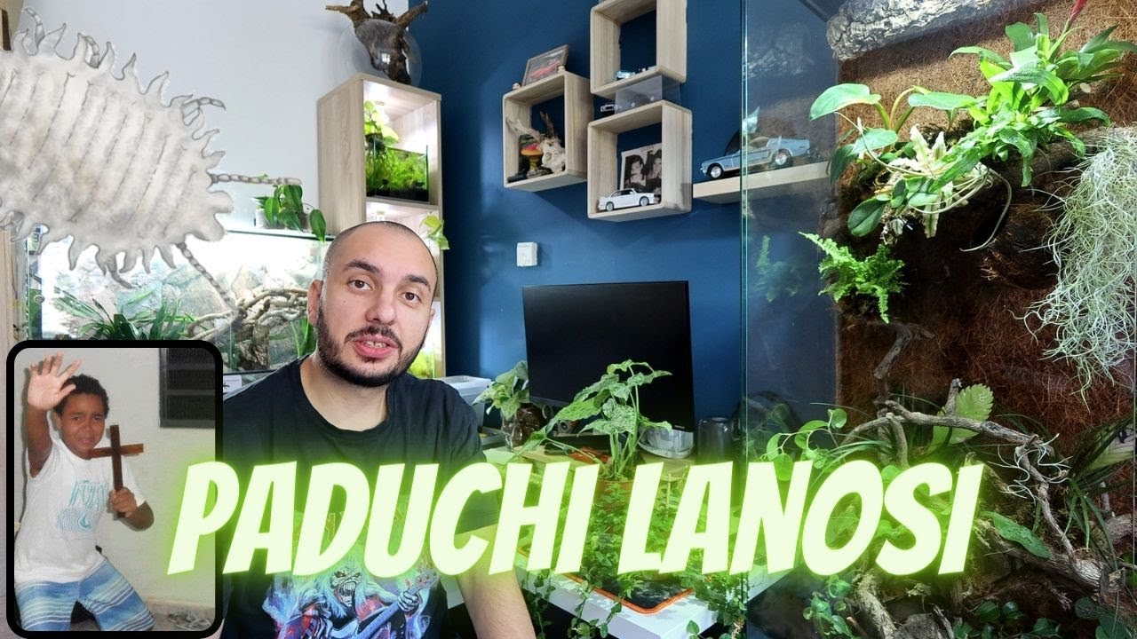 TRATAMENT PENTRU PADUCHII LANOSI - YouTube
