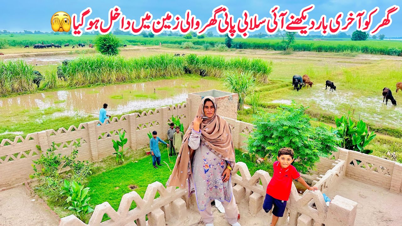 Charoun Taraf Flood Ne Ghera Daal Liya, Ghar Ko Akhri Dafa Dekhnay Aie ...