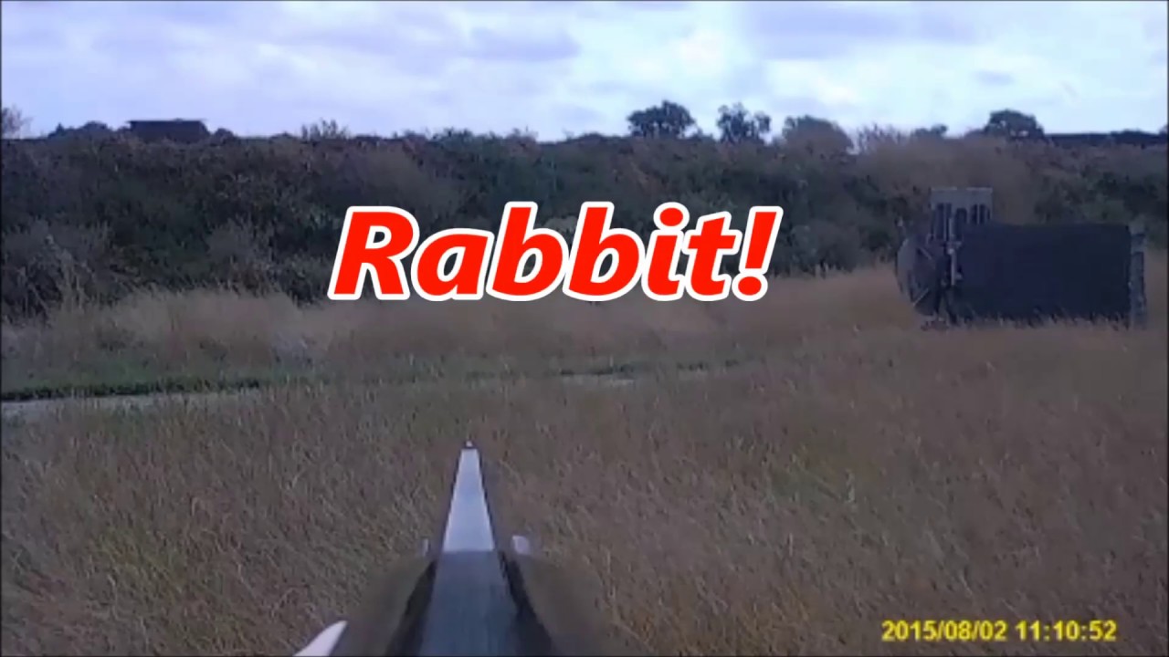 Sporting Clay Pigeons - The Rabbit! - YouTube