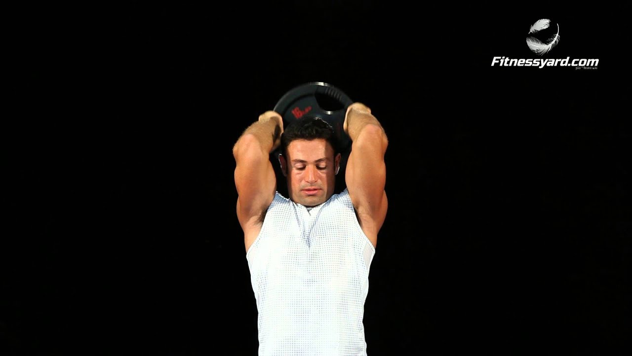 Triceps Exercises - Seated Triceps Press (weight plates) - YouTube