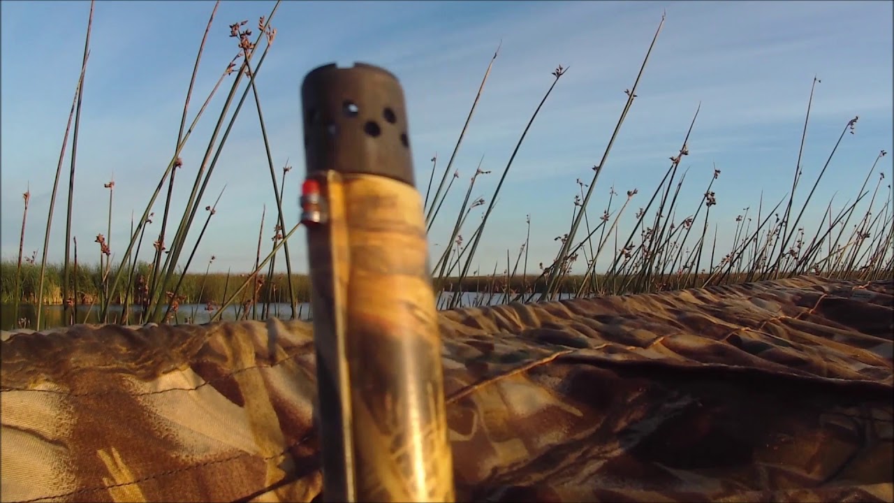 Sept 7th duck hunt Mallard, Pintail, Canvasback - YouTube