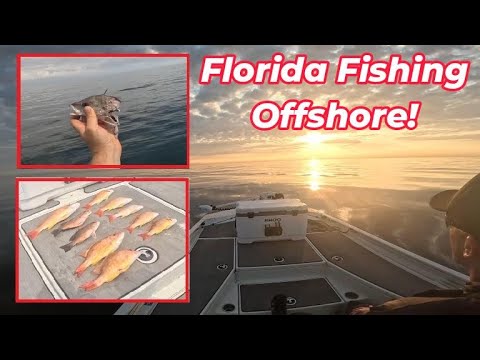 DIY Offshore Fishing for Lane & Mangrove Snapper | Red Snapper & More ...