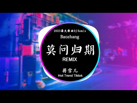 Mạc Vấn Quy Kỳ 莫问归期 - 蒋雪儿 (DJ抖音 Remix) 【動態歌詞/Pinyin Lyrics】『怎奈何无人了解我心思。』Hot Douyin Tiktok