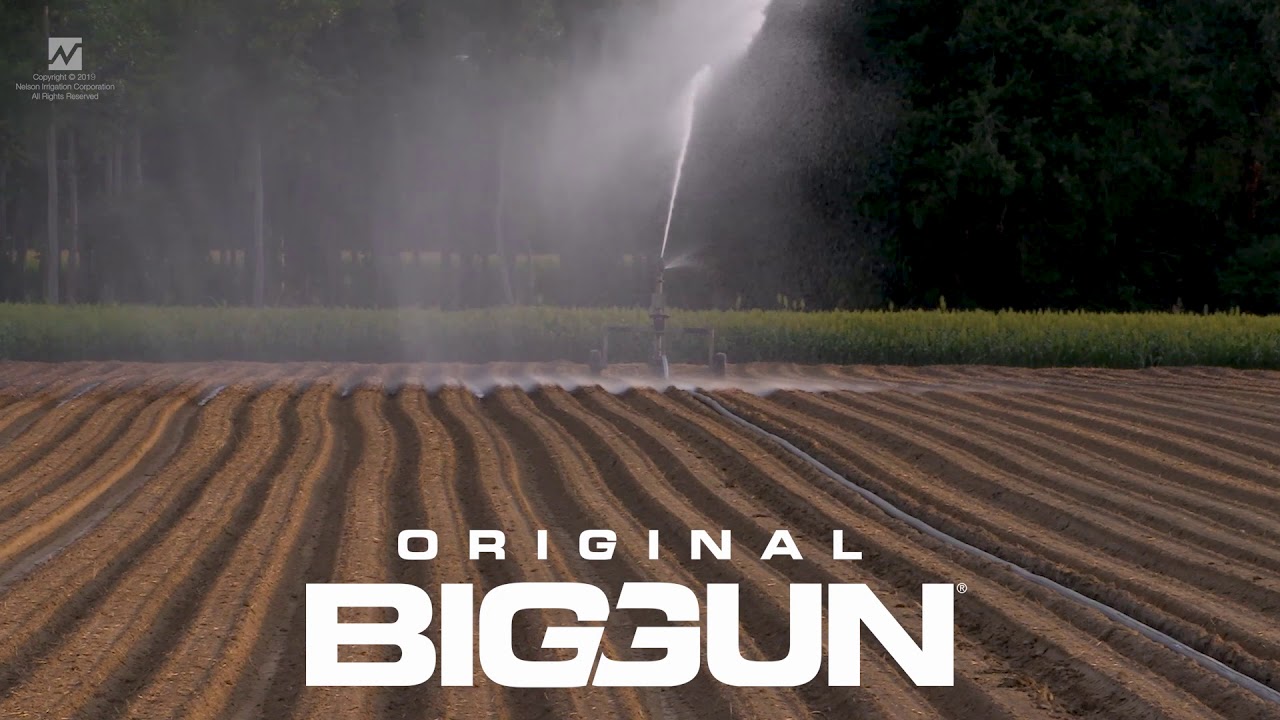 High Volume Water Canon Sprinkler on Hose Reel - YouTube