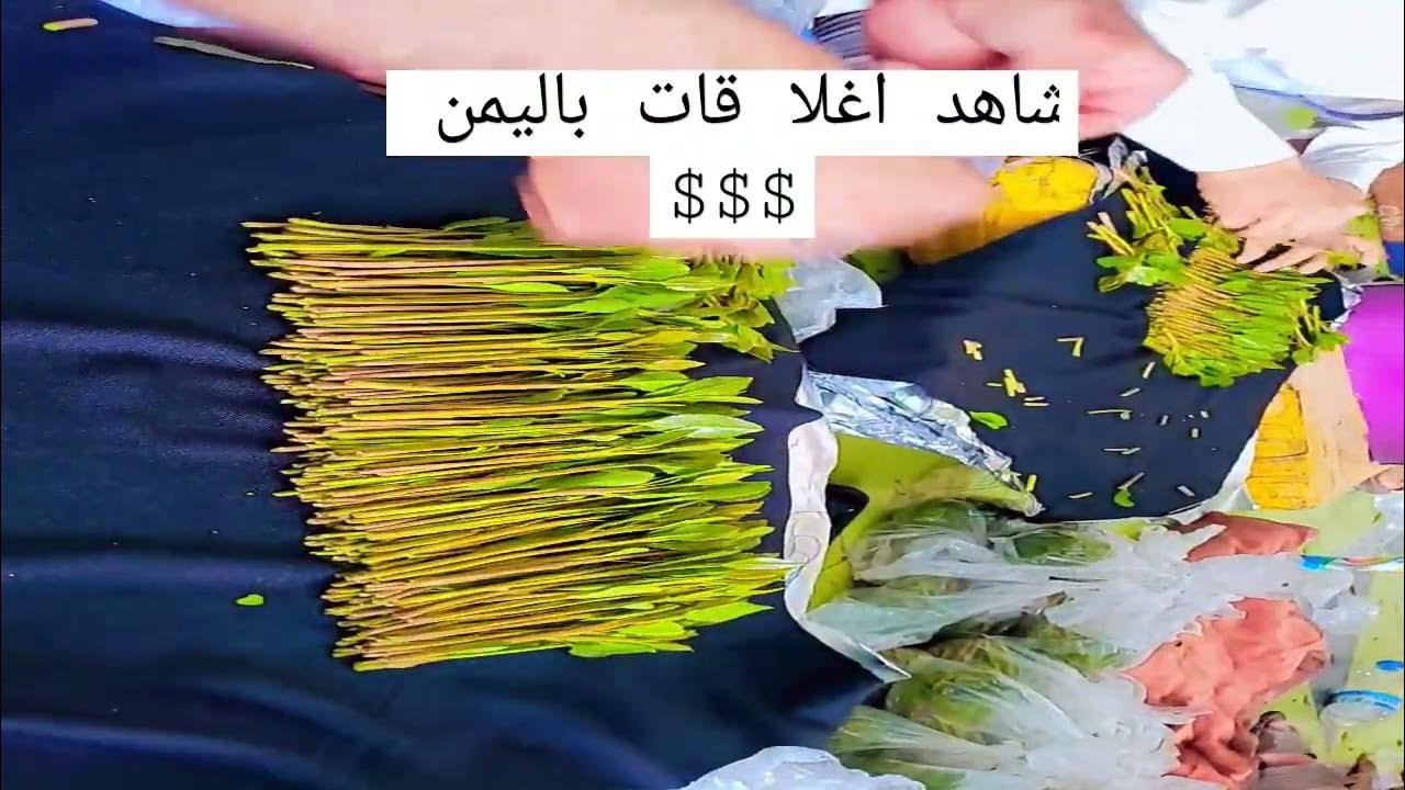 #قات #ارحبي #شاهد_شارك #اشترك #في_القناه_ليصلك_كل_جديد - YouTube
