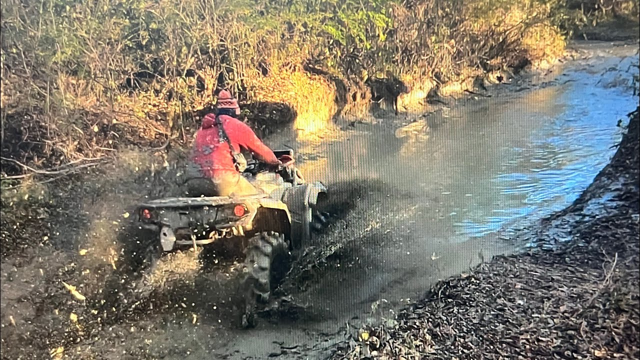 CAN-AM LIFE ATV RIDING IN THE 901 #mud #mudding #canamoffroad - YouTube