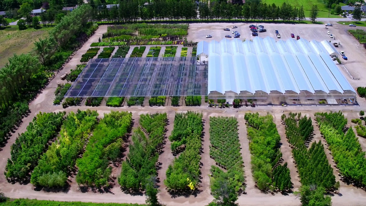 Connon Nurseries Robson Road Production Sales Yard - YouTube