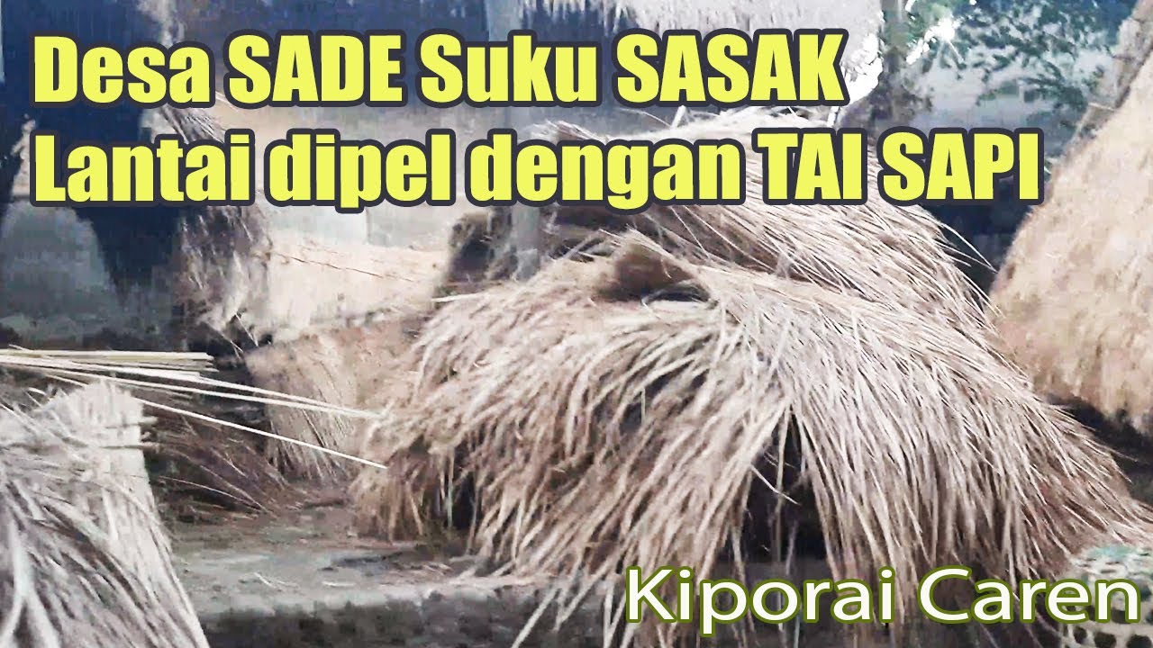 Desa SADE Suku SASAK Lantai dipel dengan TAI SAPI #wisatalombok # ...