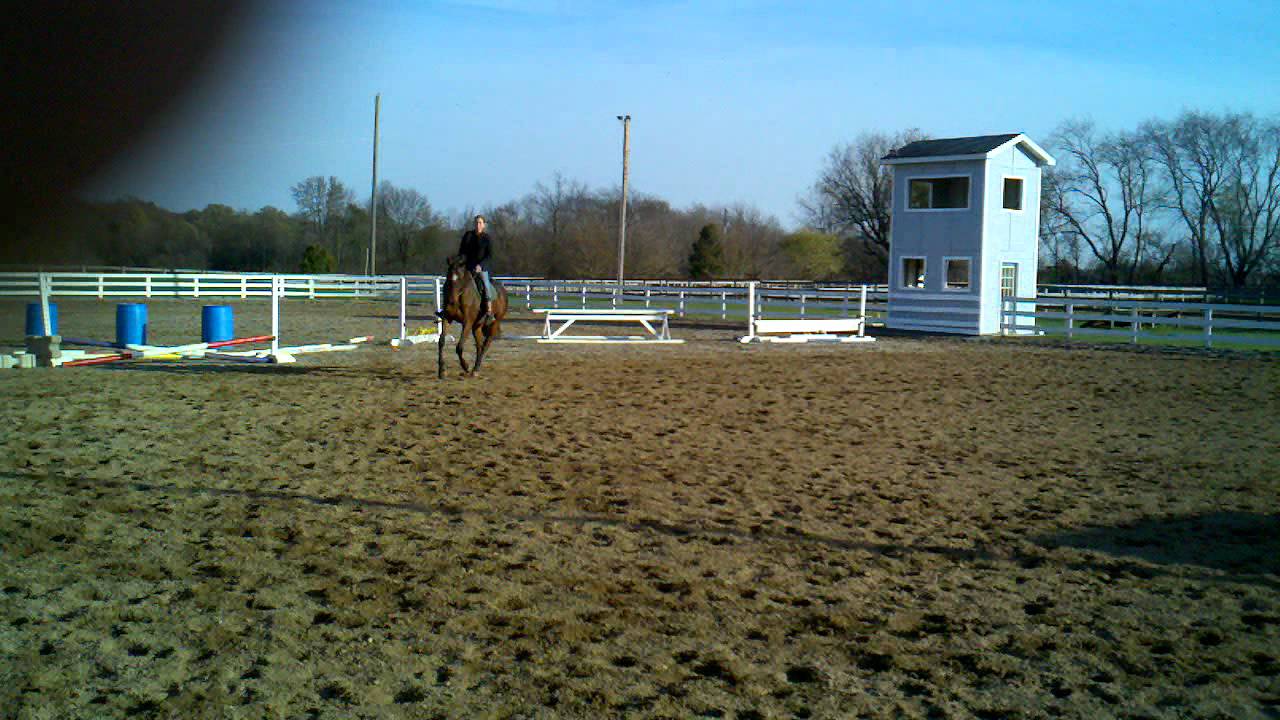 Madden on the flat at Thomet Stables - YouTube