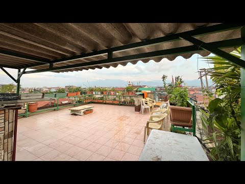 ÇATIYI REVİZE ETTİK ÇİÇEKLER KUŞLAR ŞEHİR İÇİNDE GÜZEL OLDU #güvercin #teras #izmit #kocaeli #pigeon